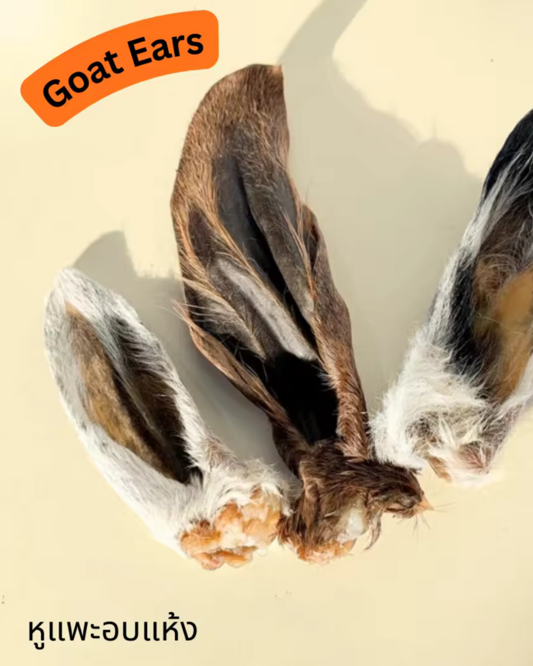 Goat Ear – LICKED.
